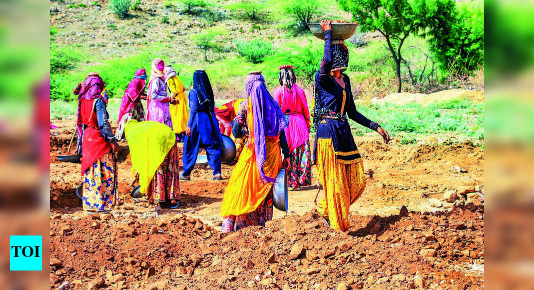 Nagaur: ‘nrega: ₹300cr Siphoned Off In 2 Dists’ | Jaipur News - Times ...