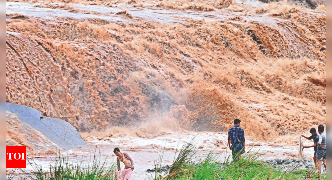 Ghaggar: Fishing On At Ghaggar Despite Sec 144 | Chandigarh News ...