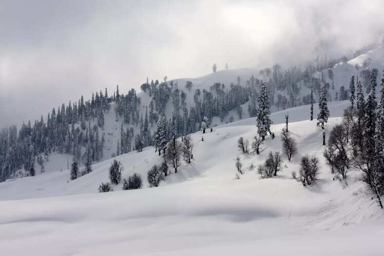These valleys in Kashmir are breathtakingly beautiful! | Times of India ...