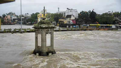 Maharashtra rain: Water released in Godavari and Bhima Rivers | Nashik News - Times of India