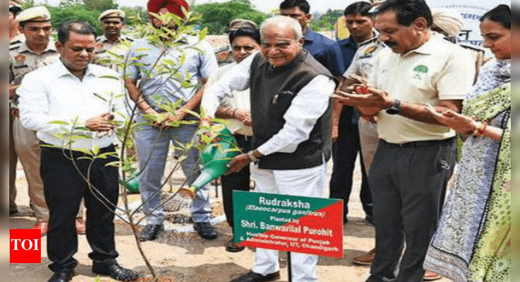 Ut Administrator Releases Green Action Plan-2022-23 | Chandigarh News ...