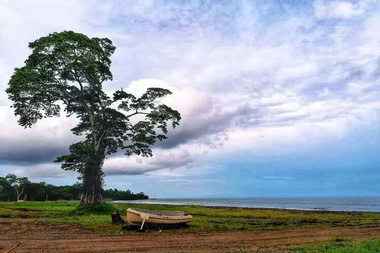 In pictures: The wettest places on Earth! | Times of India Travel