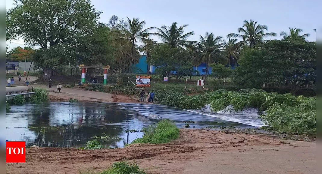 Coimbatore Corporation to set up steel bridge across river Noyyal on ...