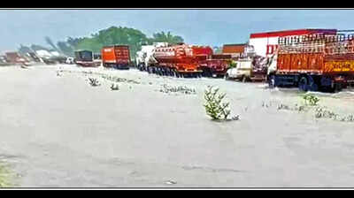 Heavy rain continues to batter Gujarat; 43 dead since July 7 ...