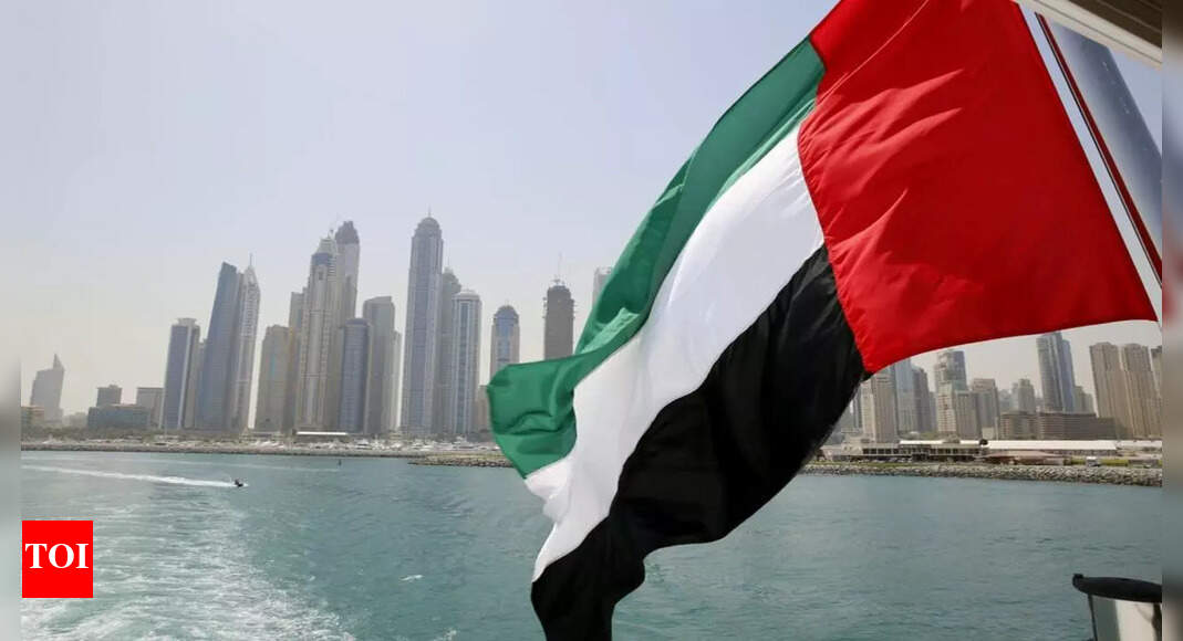 Iran: UAE working to send envoy to Iran, against anti-Iran axis ...