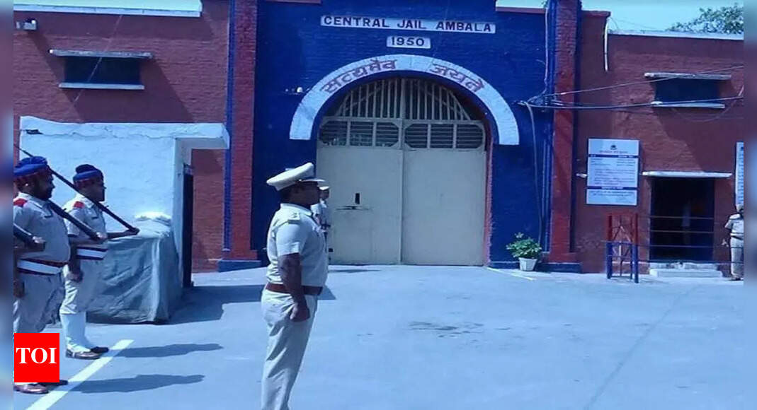 Haryana: Undertrial prisoner dies by suicide at Ambala jail | Gurgaon ...
