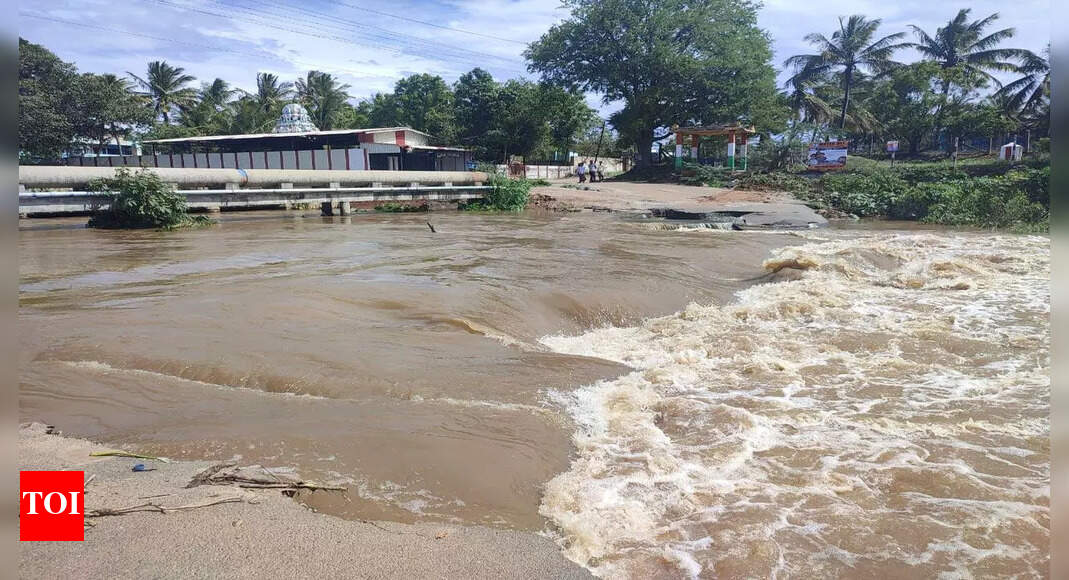 Traffic affected as temporary causeway across river Noyyal in ...