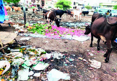 No End To Garbage Woes As Trash Piles Up At Several Places In City ...