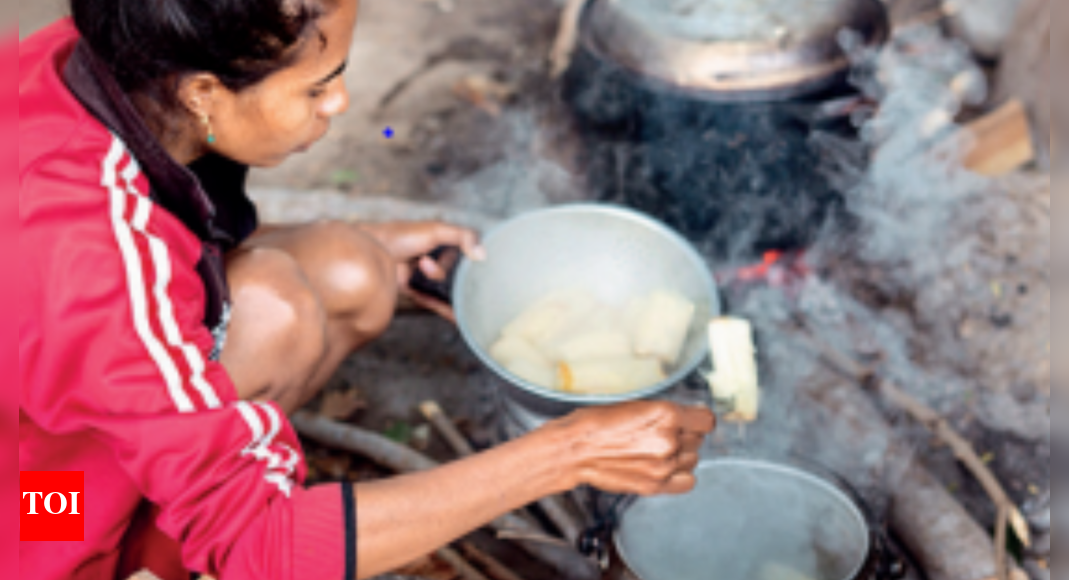 What’s cooking? Bid to tackle sources of indoor pollution in Delhi-NCR ...