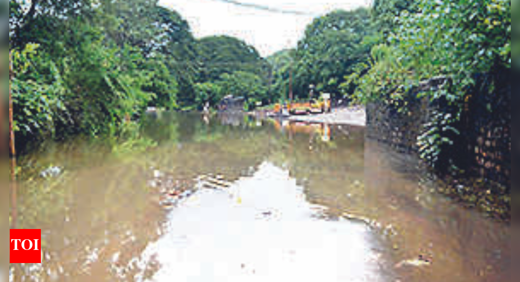 Rain Loses Steam, Kolhapur On Yellow Alert | Kolhapur News - Times of India