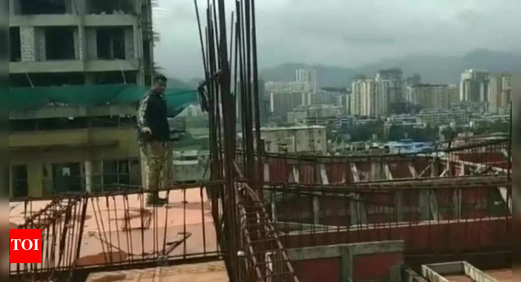 Mumbai: Activists rescue dogs stuck on 12th floor of under-construction ...