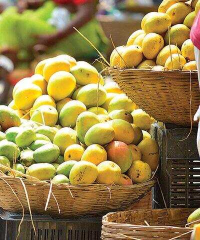 Mancurad mango, bebinca among 5 Goan items awaiting GI tag: Goa ...
