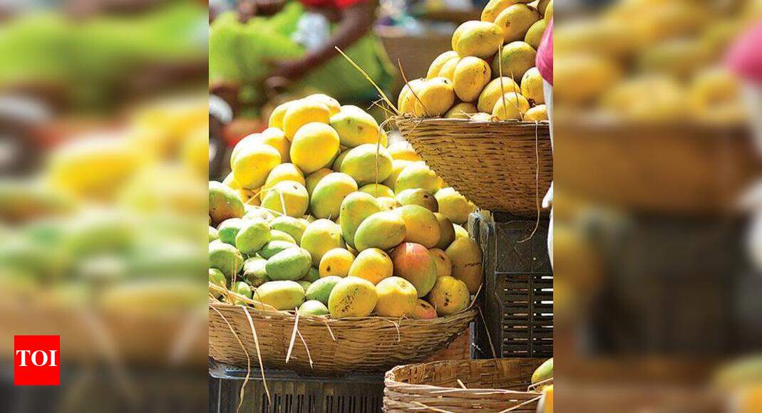 Mancurad mango, bebinca among 5 Goan items awaiting GI tag: Goa ...