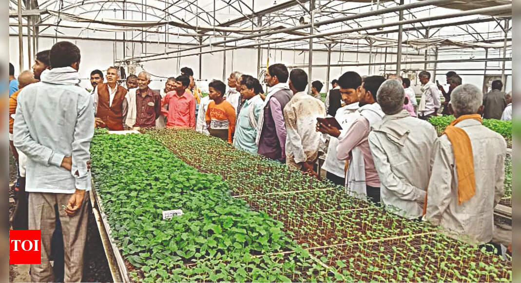 2 Hi-tech Veggie Nurseries To Be Set Up In 5 Months | Noida News ...