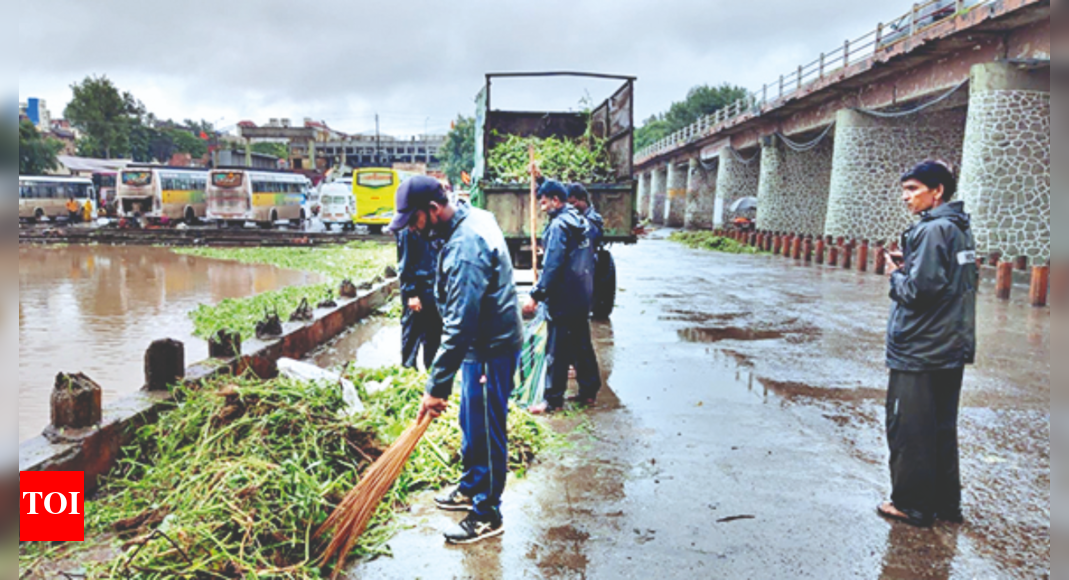Nmc: Nmc Collects Over 26 Tonne Waste From Godavari Banks & Its ... Nmc: Nmc Collects Over 26 Tonne Waste From Godavari Banks & Its ...
