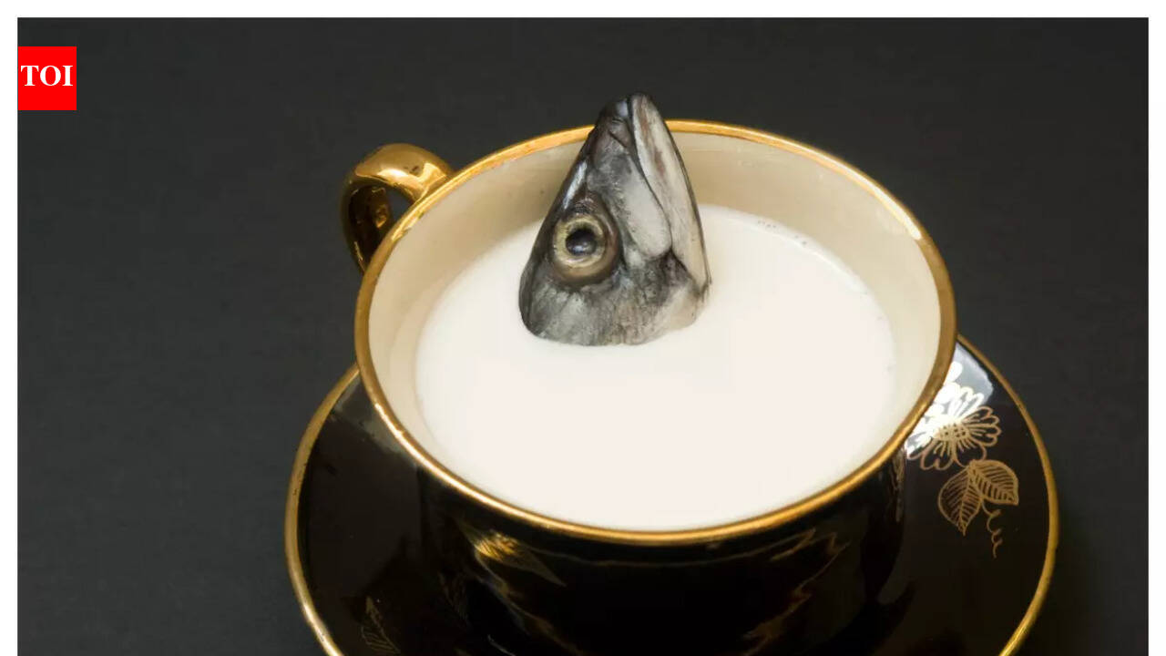 Is it OK to drink milk after having fish? Explains doctor