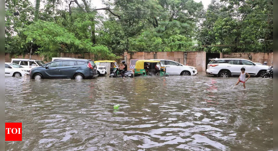 Rainfall Chokes City, Lmc Claim Flows Down The Drain | Lucknow News ...