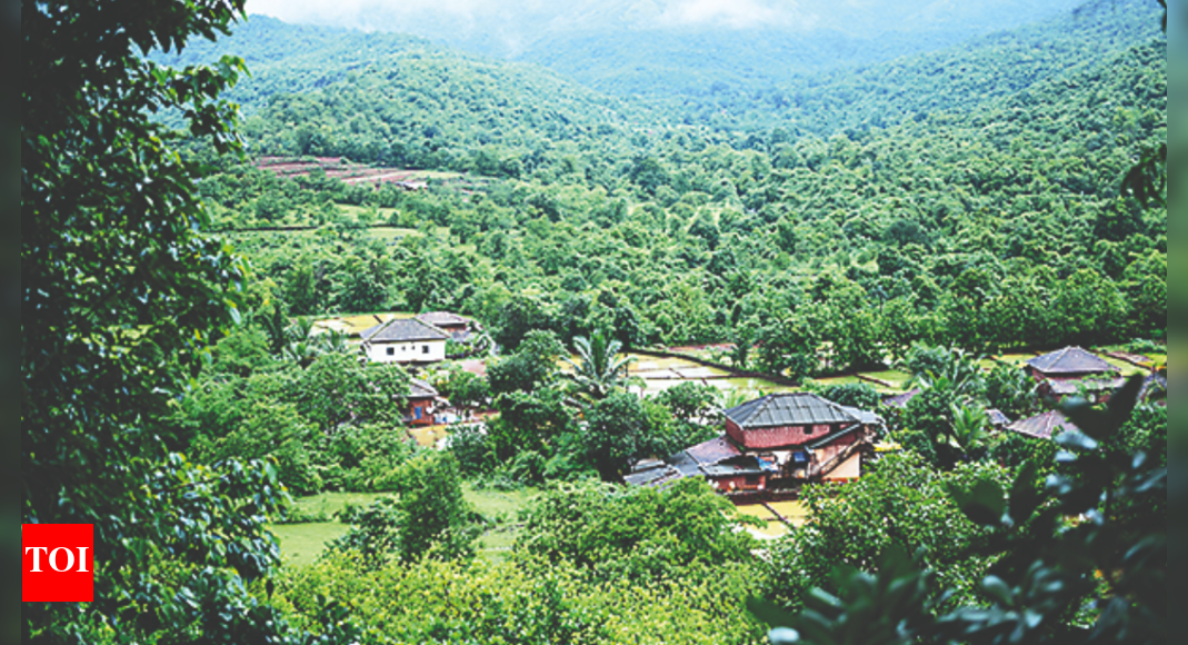 Radhanagari: Forest Dept Seeks ‘critical Habitat’ Tag For Radhanagari ...