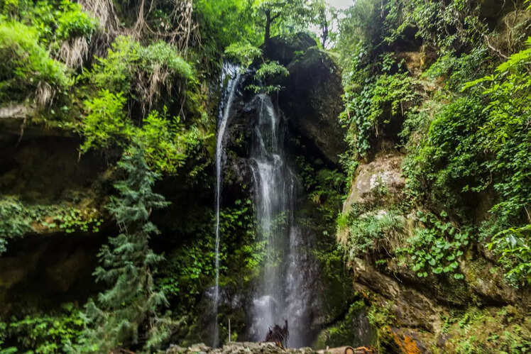Jibhi, the quaint getaway in Himachal Pradesh | Times of India Travel