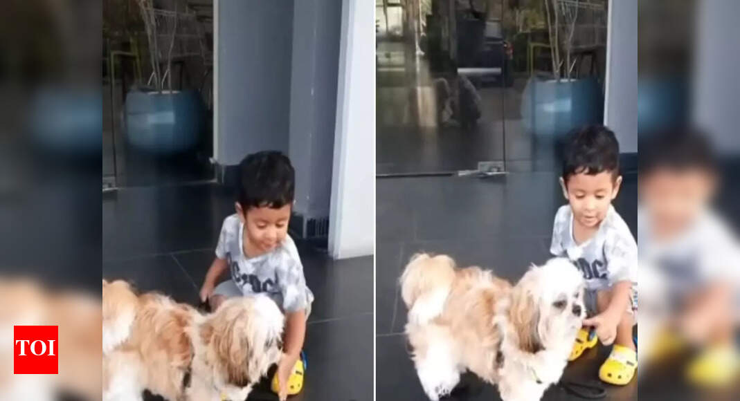This video of star kid Yuvaan is too cute to be missed; watch - Times ...