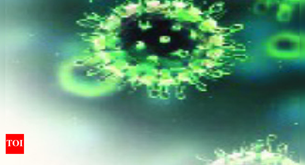 ‘presence Of African Swine Virus Confirmed In Some City Areas’ | Kanpur ...
