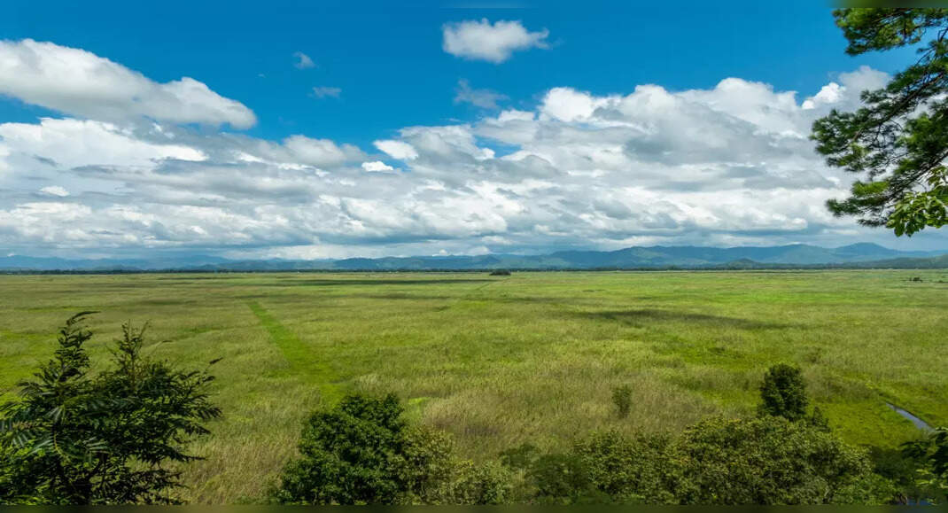 Did you know about Keibul Lamjao National Park, a floating national ...