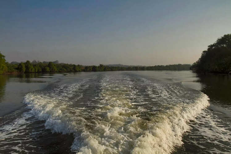 Goa Adventure: Best adventure experiences you can have in Goa | Times ...