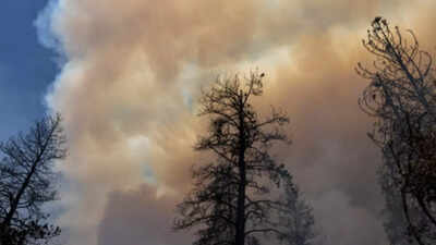 California: California wildfire rages as US engulfed in heat wave ...