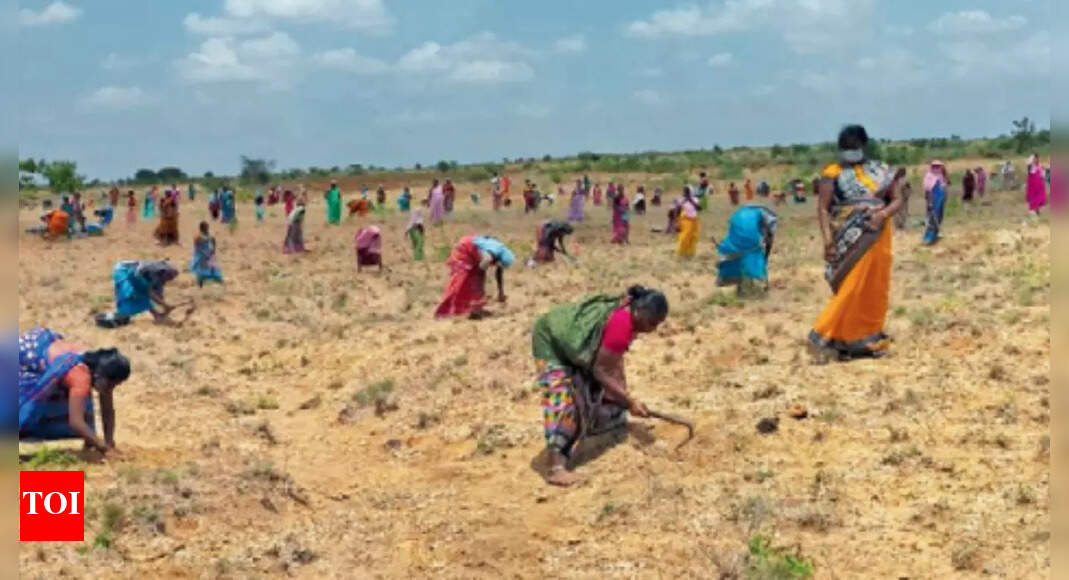 Trichy: 400 Acre Waste Land In Trichy Dist To Turn Into Palm Tree ...