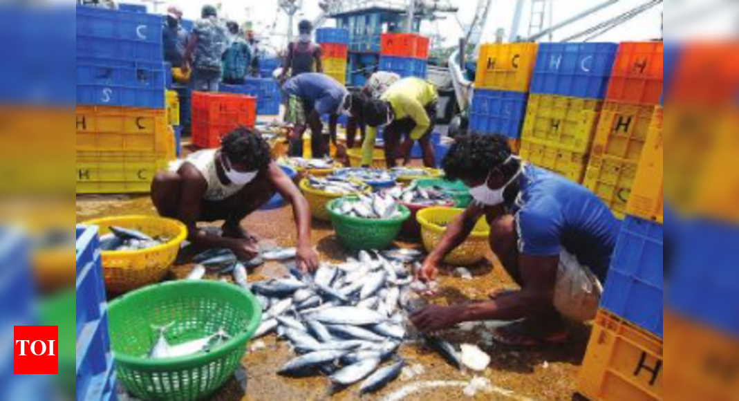 'In 2021-22, fisheries export rose by over 50%': Goa fisheries minister ...