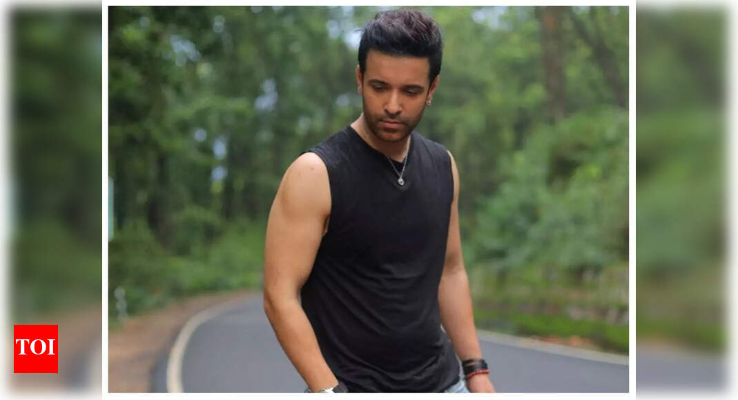 Want to focus on my OTT career: Aamir Ali - Times of India