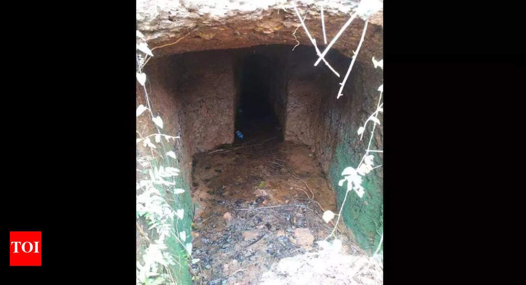 6m-long tunnel in Goa points to Portuguese-era mineral tests | Goa News ...