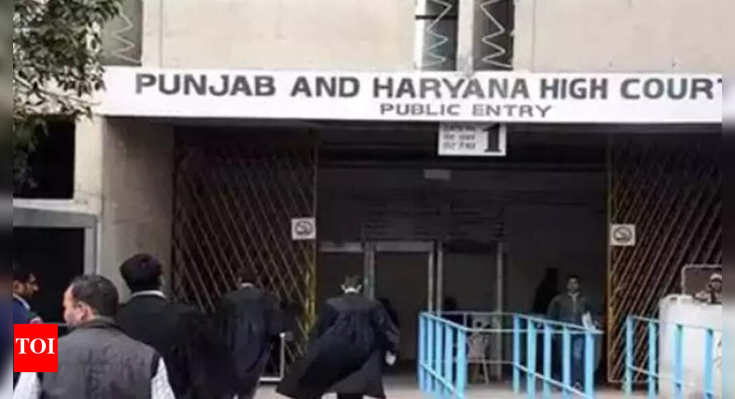 Tarn Taran bomb blast: NIA court can't try juveniles, says HC | Chandigarh News - Times of India
