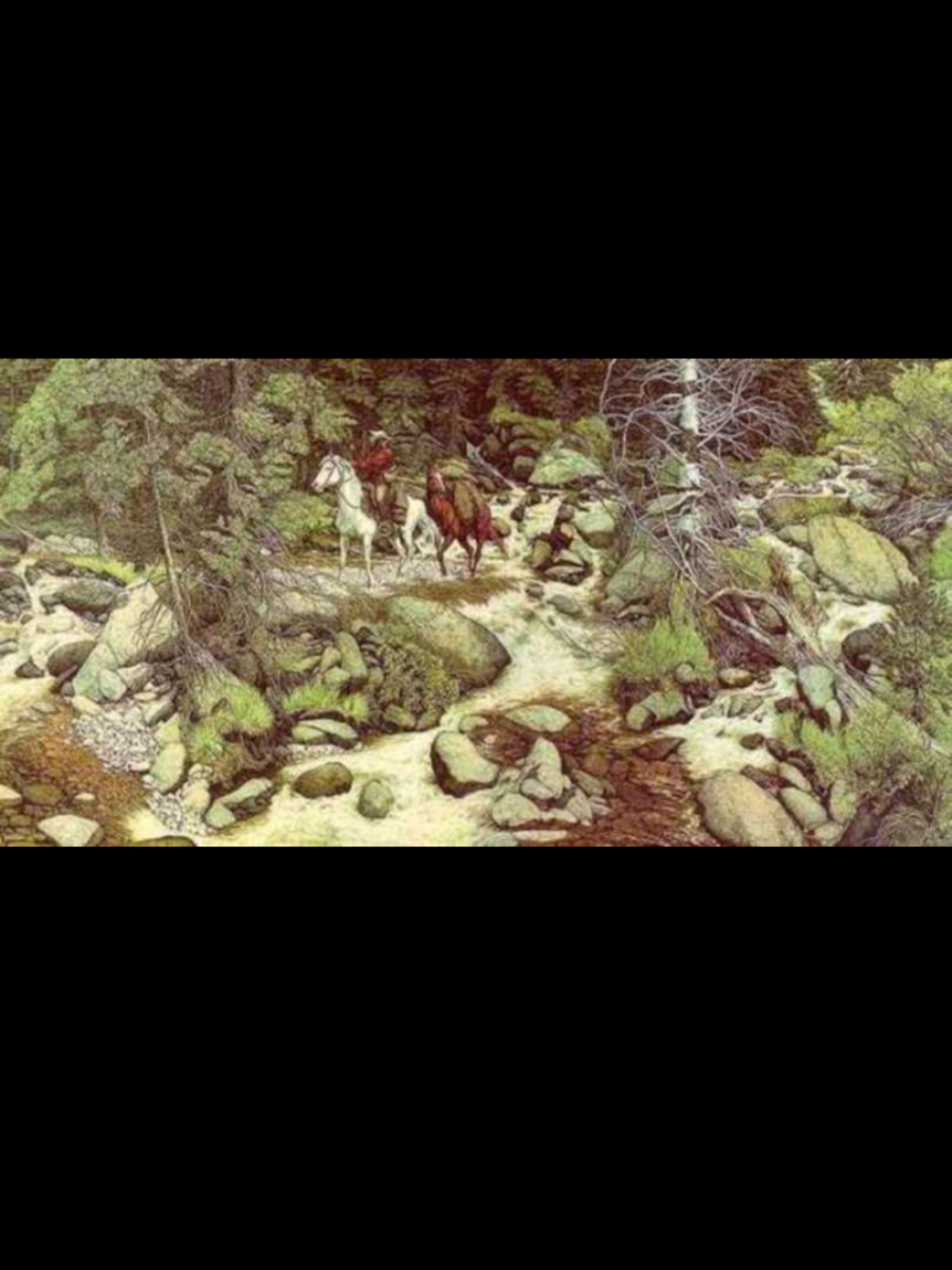 The number of faces you spot in this forest image optical illusion will ...