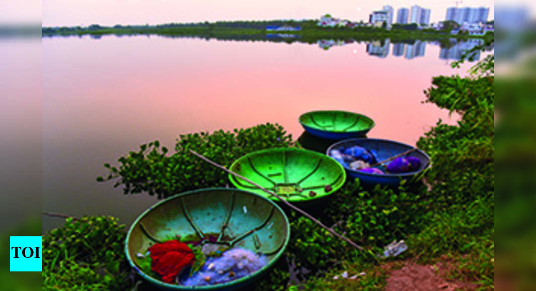 Singanallur: City Corpn To Improve Water Quality In Singanallur Lake ...