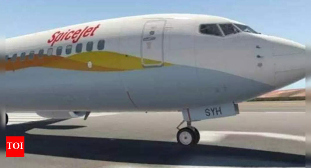 Spicejet: De-register three Boeing 737s leased to SpiceJet: UAE firm to ...