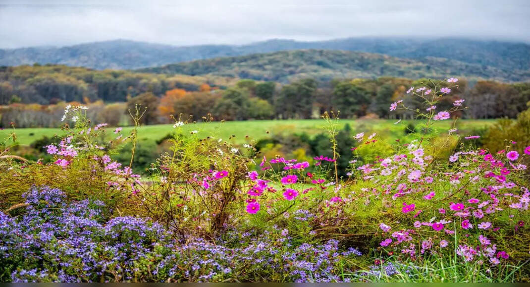 It’s Easy Being Green: A sustainable itinerary through Virginia’s great ...