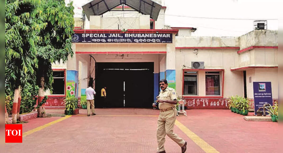 Tele Consultations To Help Mentally-ill Inmates In Jails | Bhubaneswar ...
