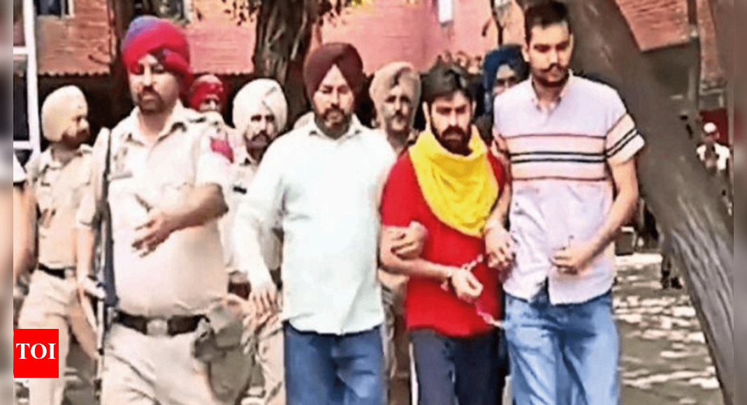 5 Of Bishnoi Gang Held, 8 Pistols Seized | Chandigarh News - Times of India