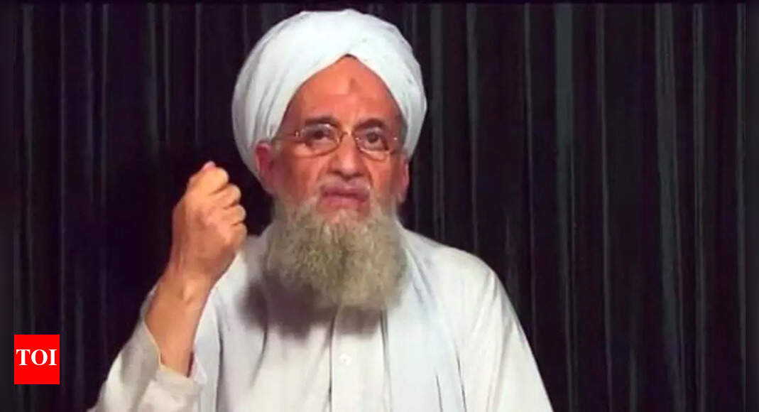 Watching al-Qaida chief's 'pattern of life' key to his death - Times of ...