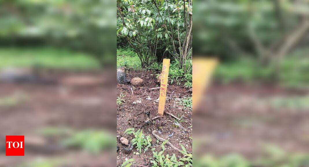 K’taka readying to divert Kalasa, Haltara nullahs | Goa News - Times of ...
