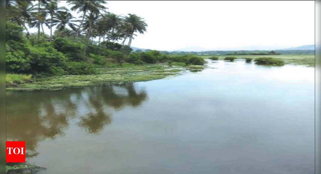Nanda: Nanda lake in Curchorem is Goa’s first Ramsar site | Goa News ...