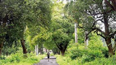Aurangabad Municipal Corporation delays on Himayat Bagh heritage tag ...