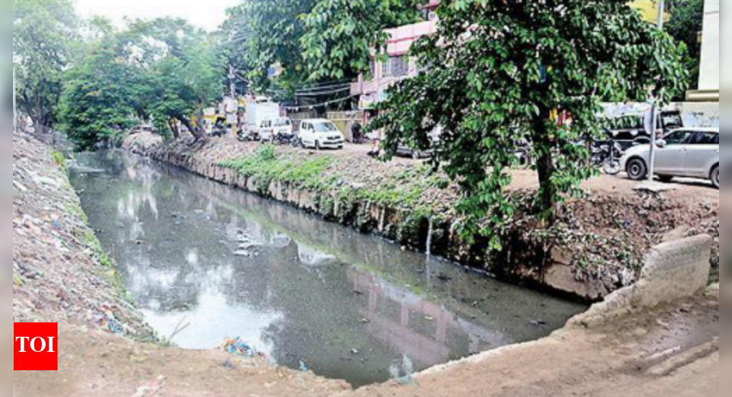 Patna Municipal Corporation: Patna Municipal Corporation to organise ...