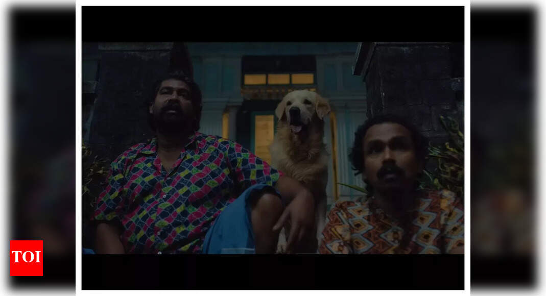 ‘Peace’ movie trailer: Joju George starrer offers thrills and chills ...