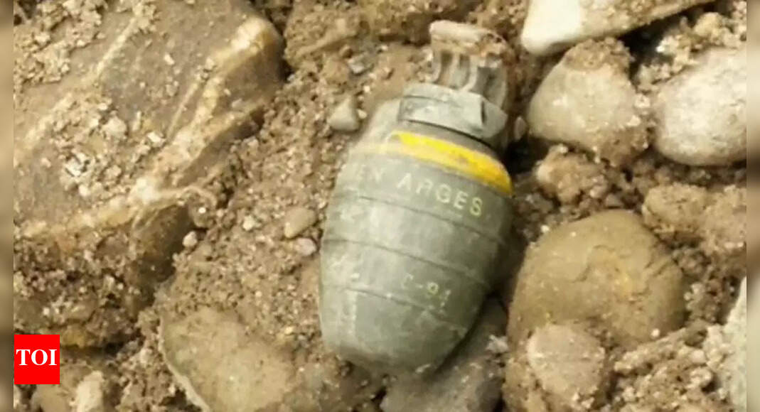 Himachal Pradesh: Live grenade recovered along highway in Kangra's ...