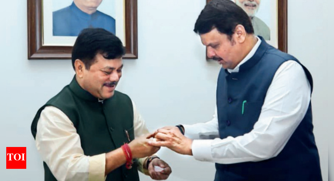 Politics at play? BJP man back to helm Mumbai District Central ...