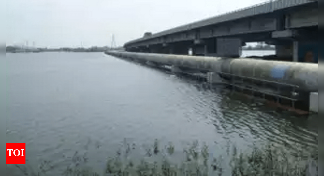 Porur Lake: Chennai: Treated, used water flows into Porur lake ...