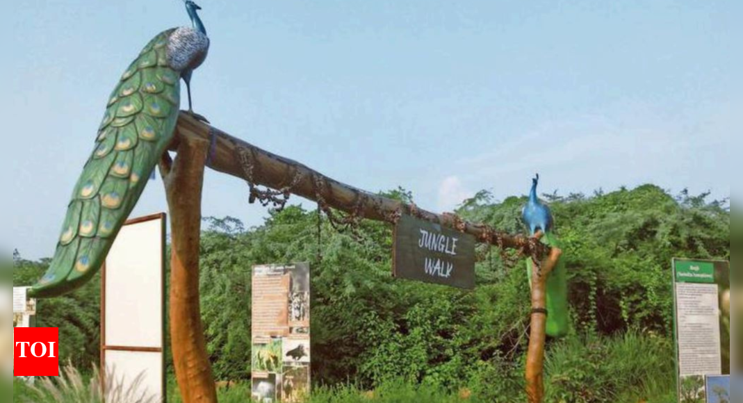 Into the wild: Jungle walk to start at Asola sanctuary | Delhi News - Times of India