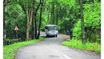 Study To Trace Deposits Of Gemstones In Ponmudi Forest ...